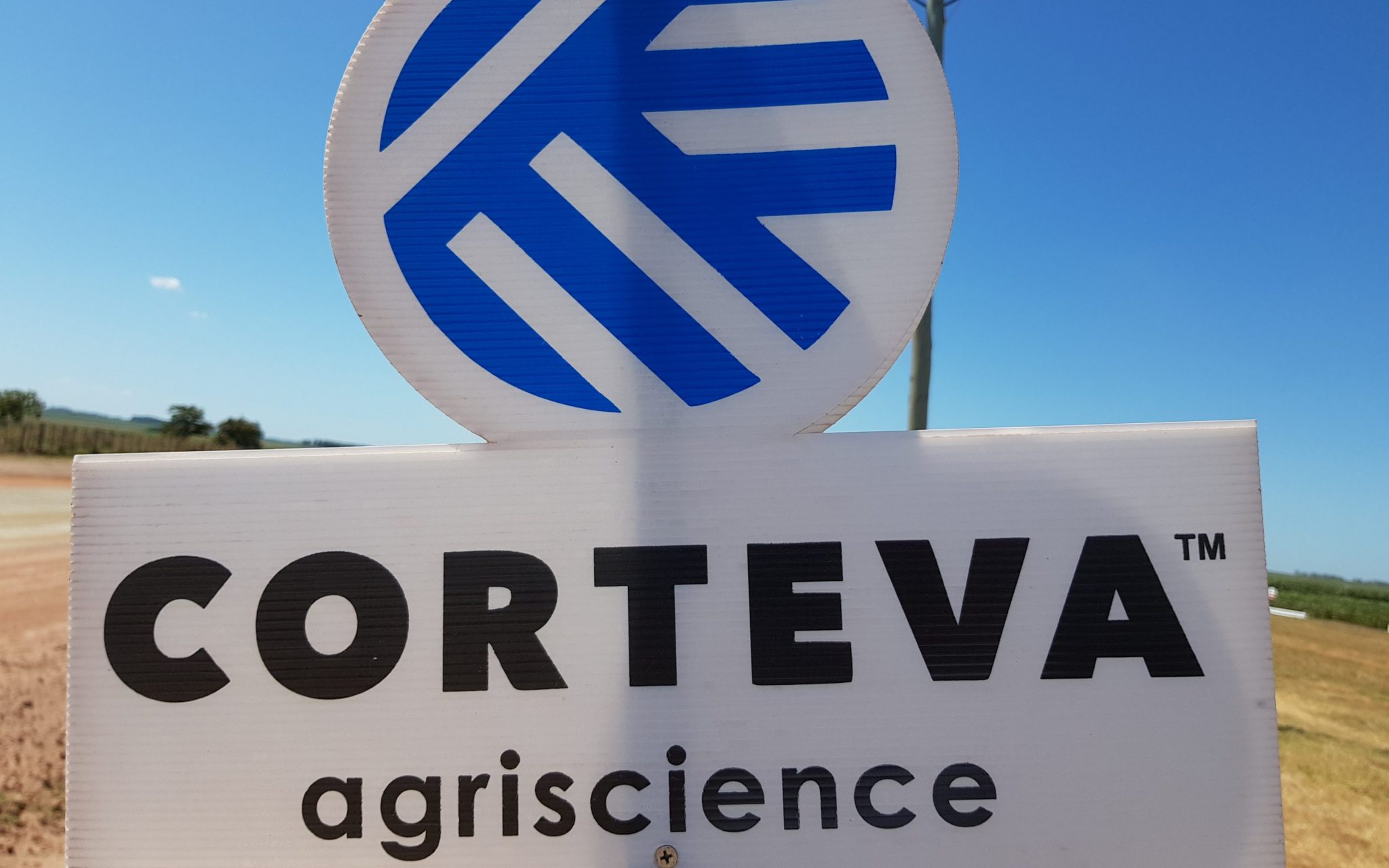 Corteva lanza su primer híbrido de maíz Pioneer en Uruguay | Revista Verde